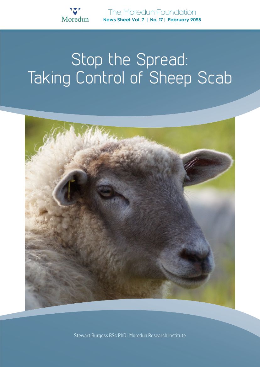 Stop The Spread Taking Contol Of Sheep Scab Moredun